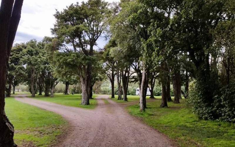 Ashhurst Domain Campground | Freedom/Basic Camp | New Zealand